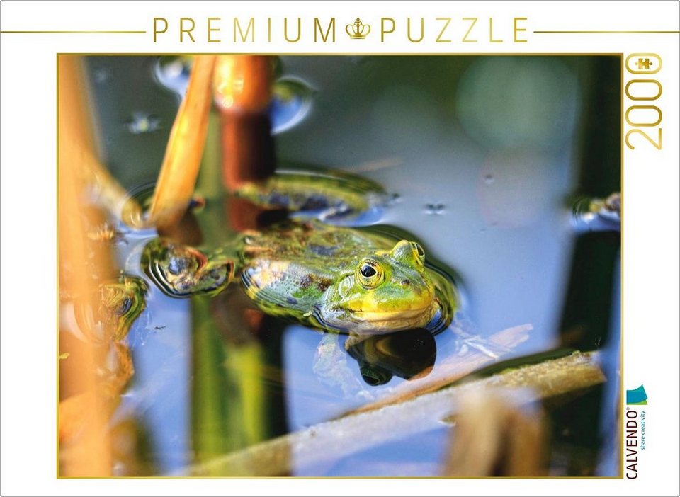 CALVENDO Puzzle CALVENDO Puzzle Teichfrosch 2000 Teile Lege-Größe 90 x ... CALVENDO Puzzle CALVENDO Puzzle Teichfrosch 2000 Teile Lege-Größe 90 x ...