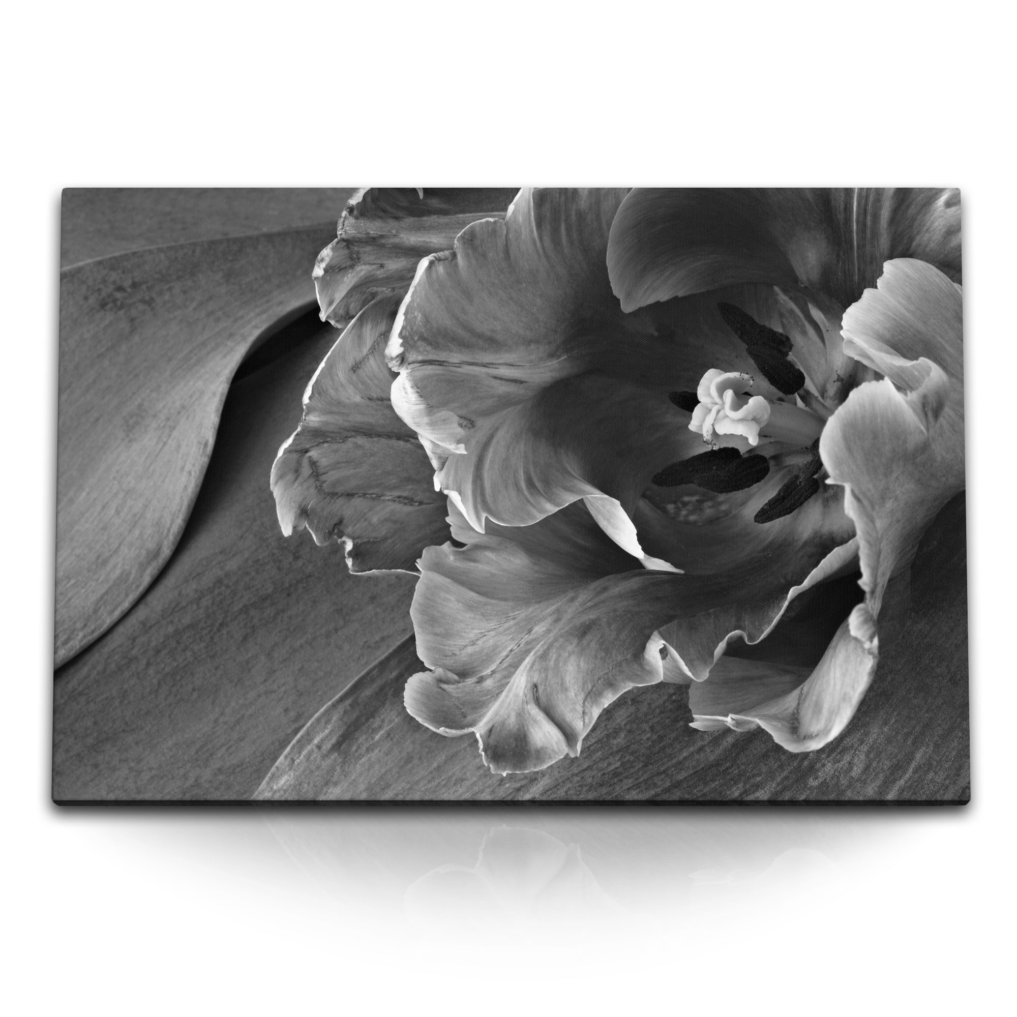 Sinus Art Leinwandbild 120x80cm Wandbild Auf Leinwand Schwarz Weiß