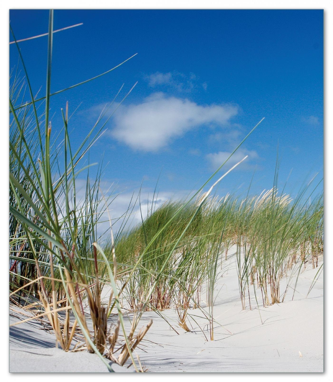 Wallario Herd Abdeckplatte Düne Am Strand Unter Blauem Himmel Esg