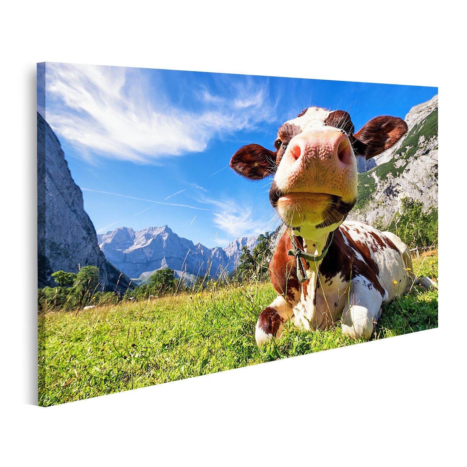 islandburner Leinwandbild Bild auf Leinwand Karwendelgebirge Kühe Österreich Wandbild Poster Kun