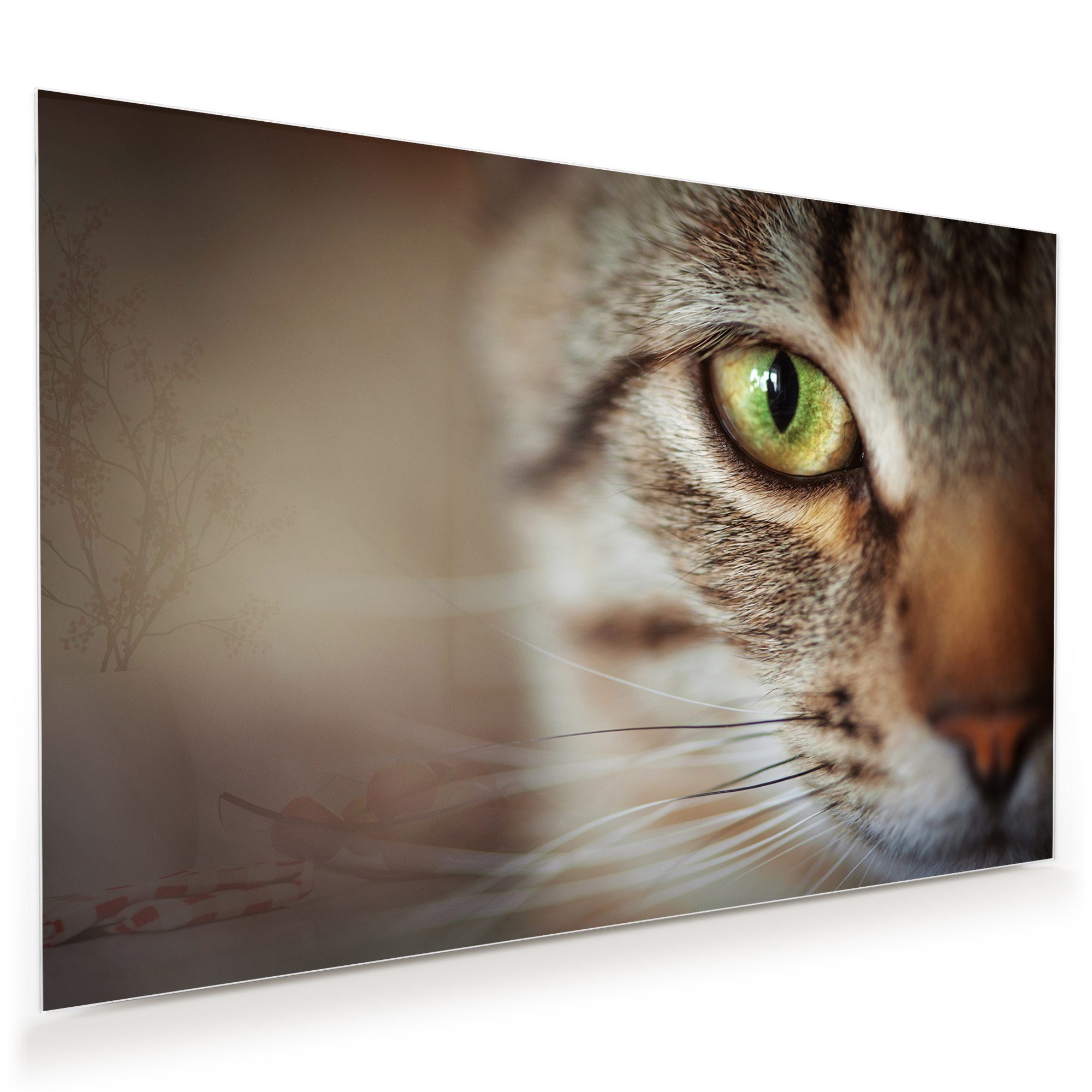 Primedeco Glasbild Wandbild Gesicht Von Getigerter Katze Mit Aufhängung