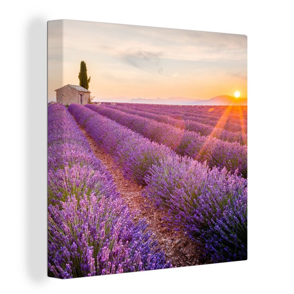 Onemillioncanvasses® Leinwandbild Lavendel Sonnenuntergang Blumen