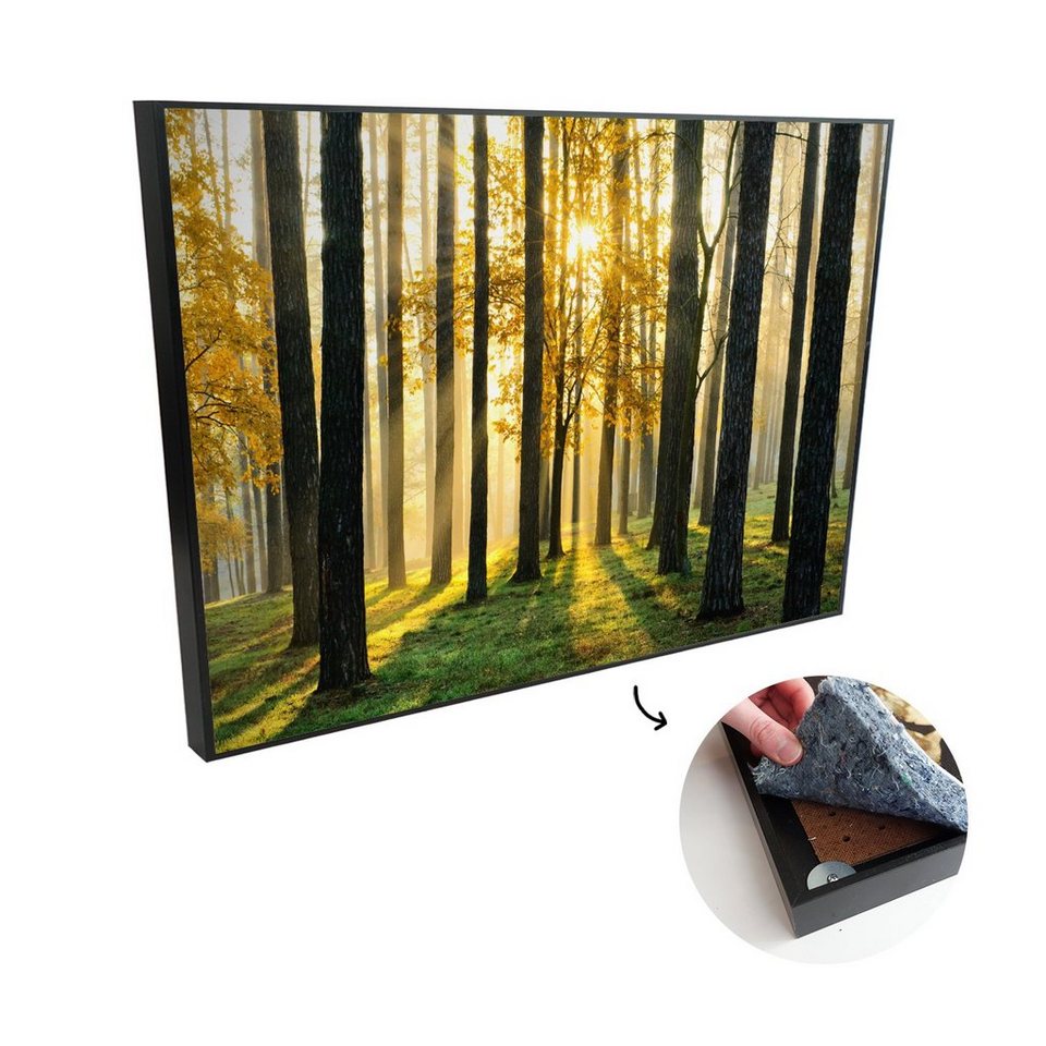 Muchowow Akustikplatte Wald Sonne Bäume Gras Landschaft