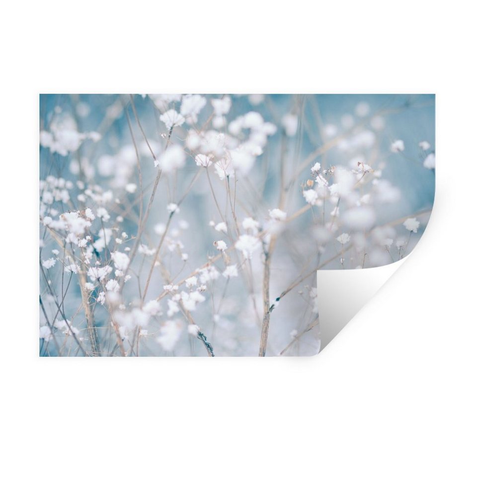 Muchowow Wandsticker Äste Schnee Winter Natur Botanisch 1 St