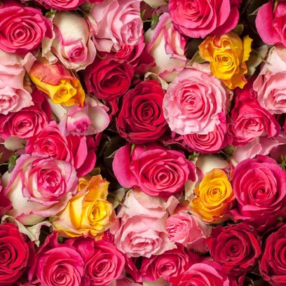 Linoows Papierserviette 20 Servietten Buntes Rosen Meer Blütenzauber
