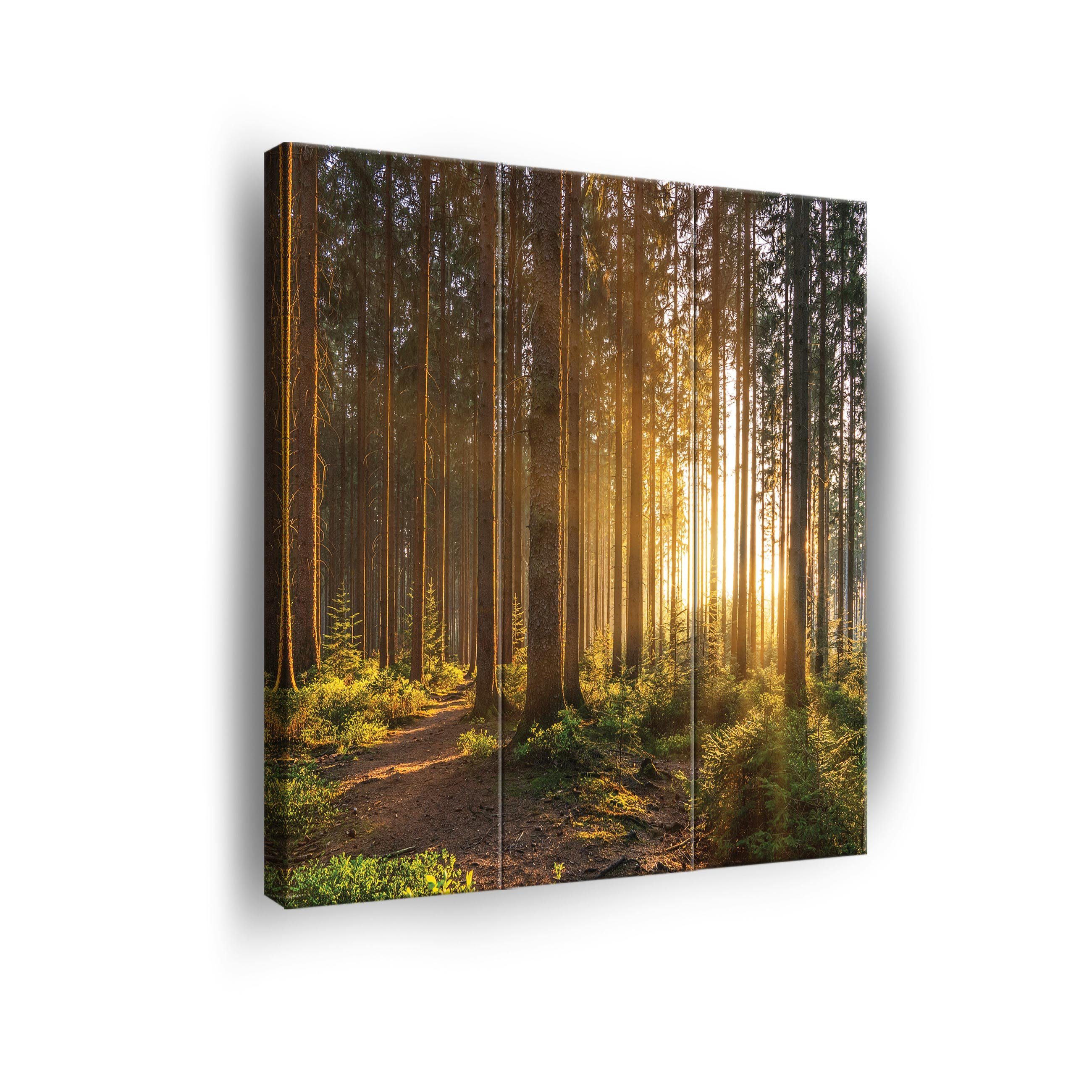 Wallarena Leinwandbild Wald Sonne Wandbild XXL Wohnzimmer Schlafzimmer Aufhängefertig ...