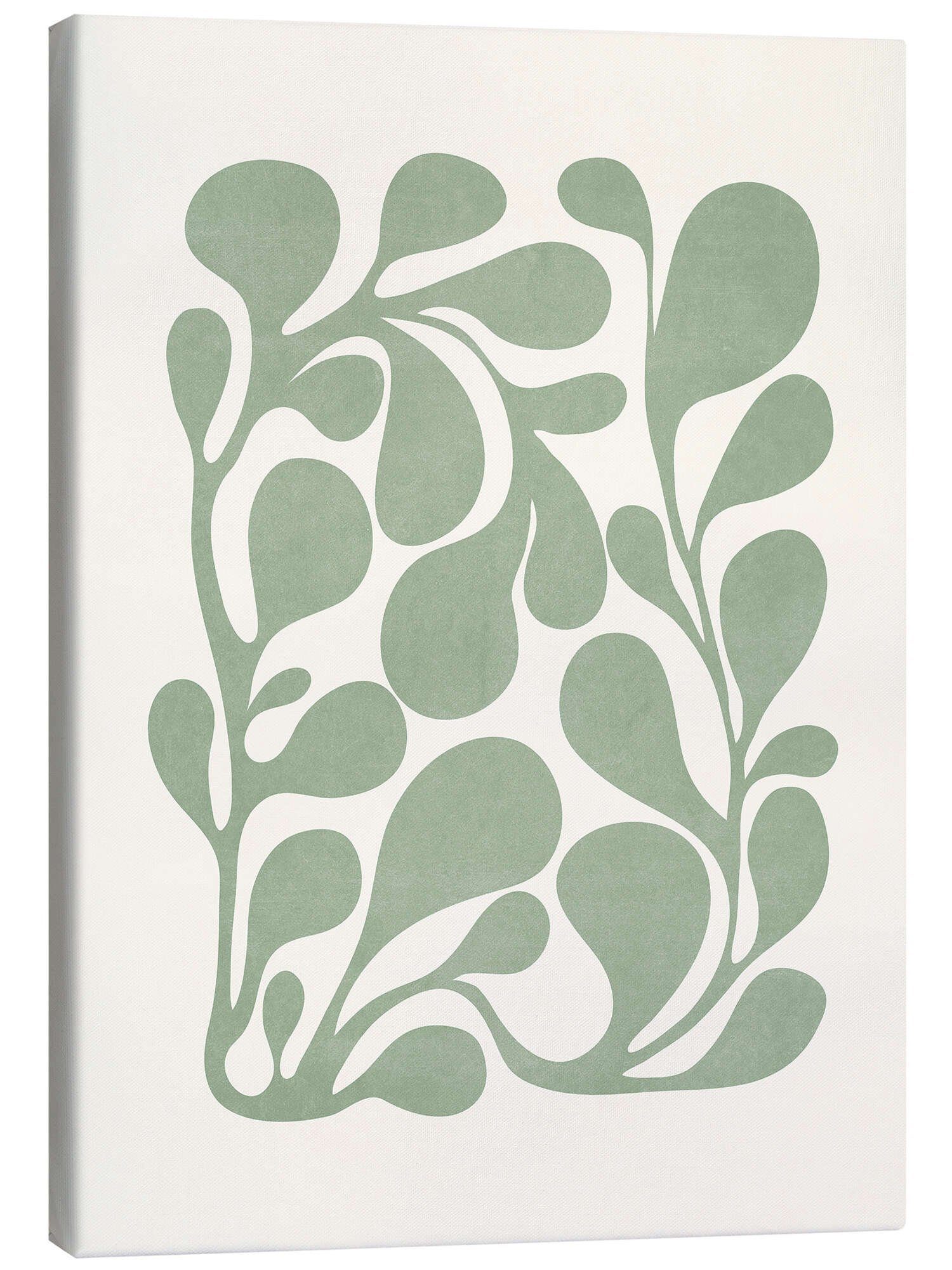 Posterlounge Leinwandbild Olga Telnova, Salbeigrüne Pflanze, Boho ...