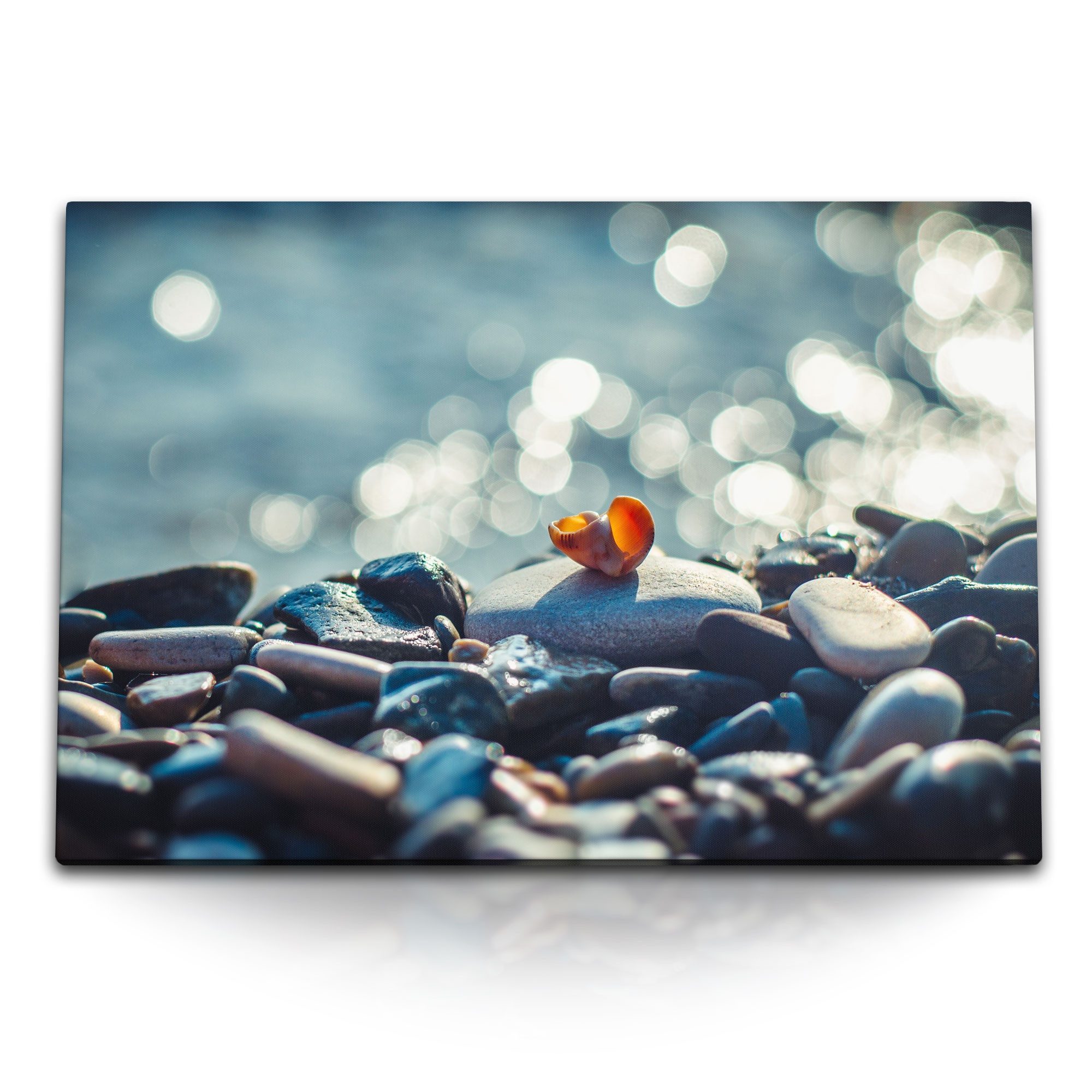 Sinus Art Leinwandbild 120x80cm Wandbild auf Leinwand Steinstrand runde Steine Muschel Meer S ...