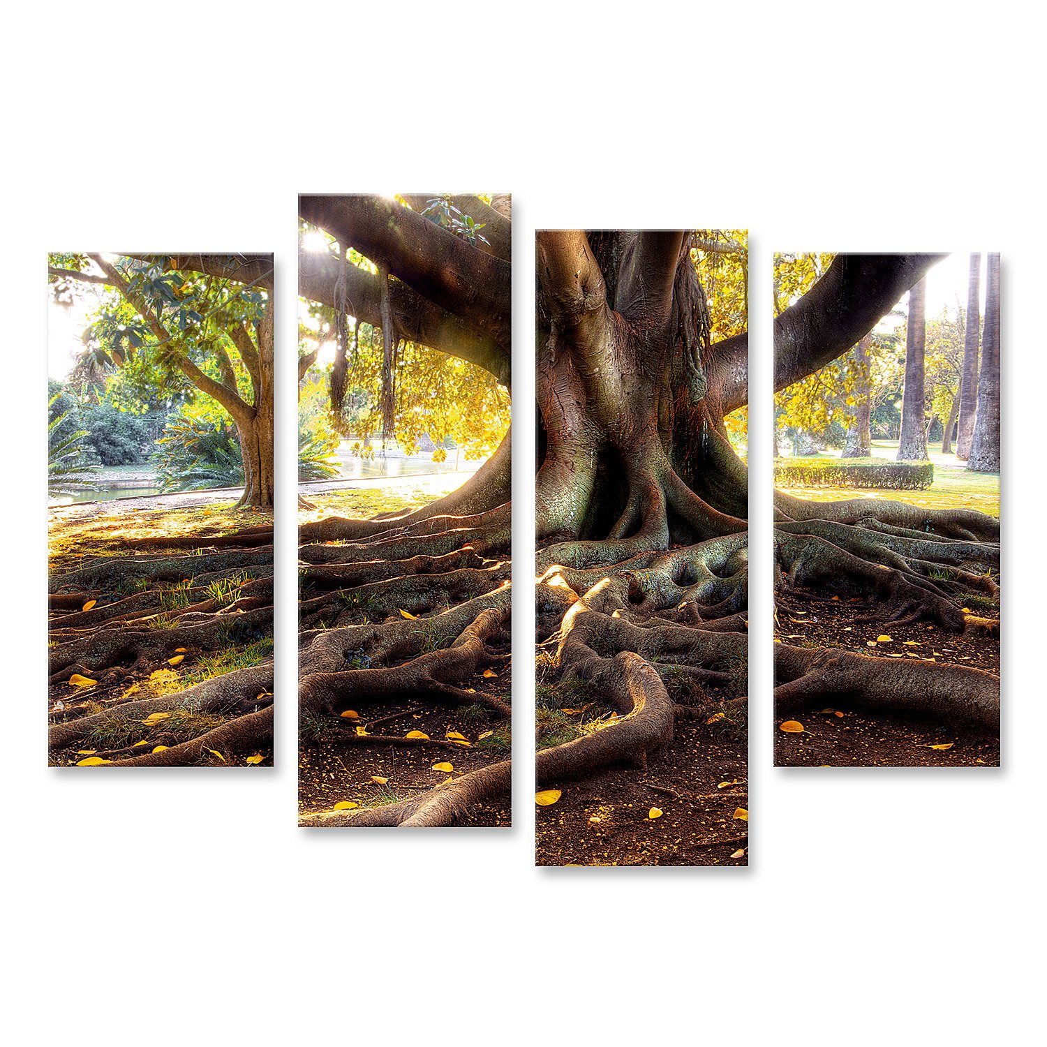 islandburner Leinwandbild Bild auf Leinwand Hundertjähriger Baum Wandbild Poster Kunstdruck Bild