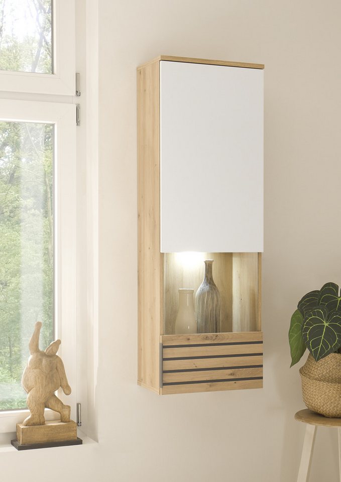 Hbz Vitrine Bz 5110 1 St Mit Led Beleuchtung Hängevitrine Wahlweise