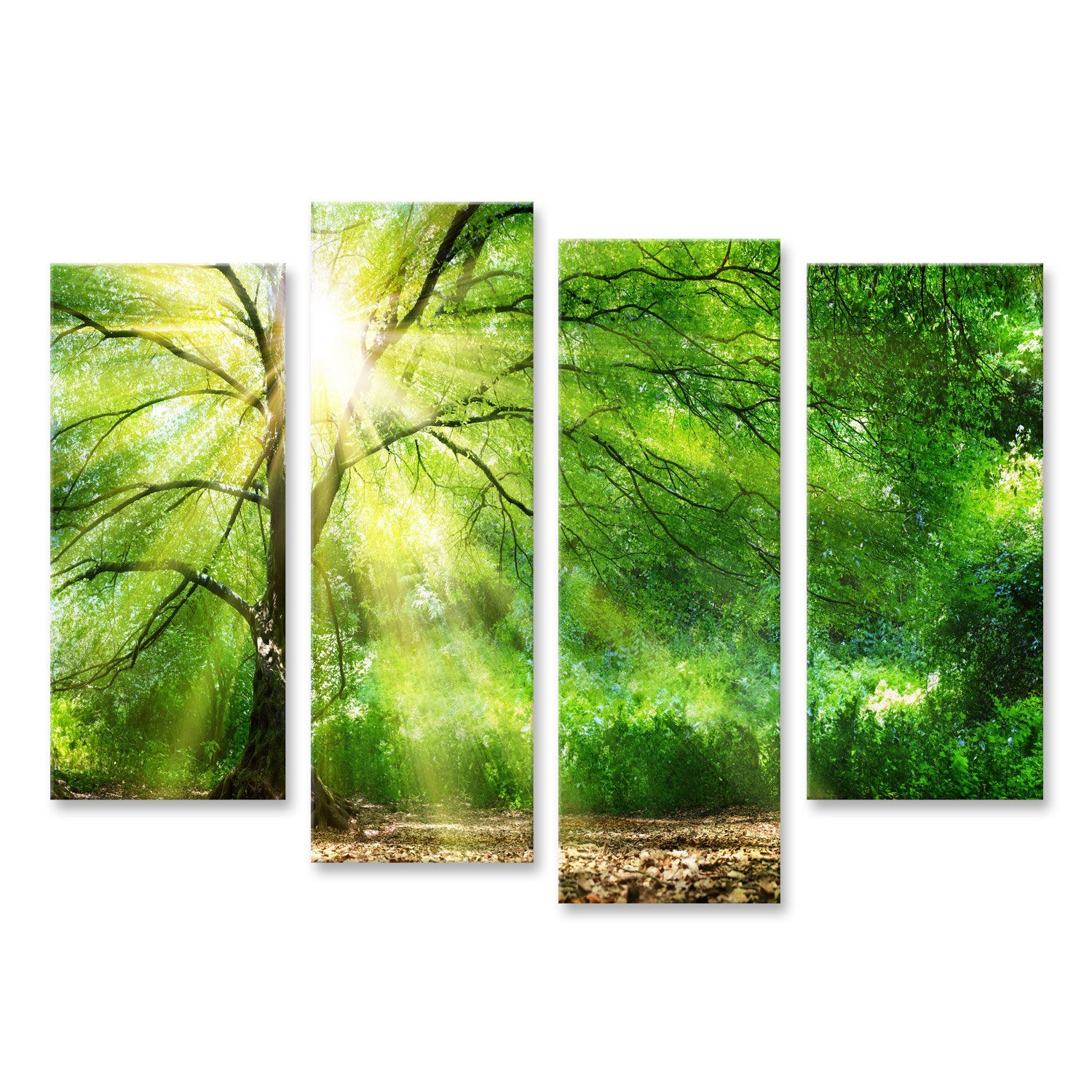 islandburner Leinwandbild Bild auf Leinwand Baum Sonnenschein Wilder Wald Natura Hintergrund Wan