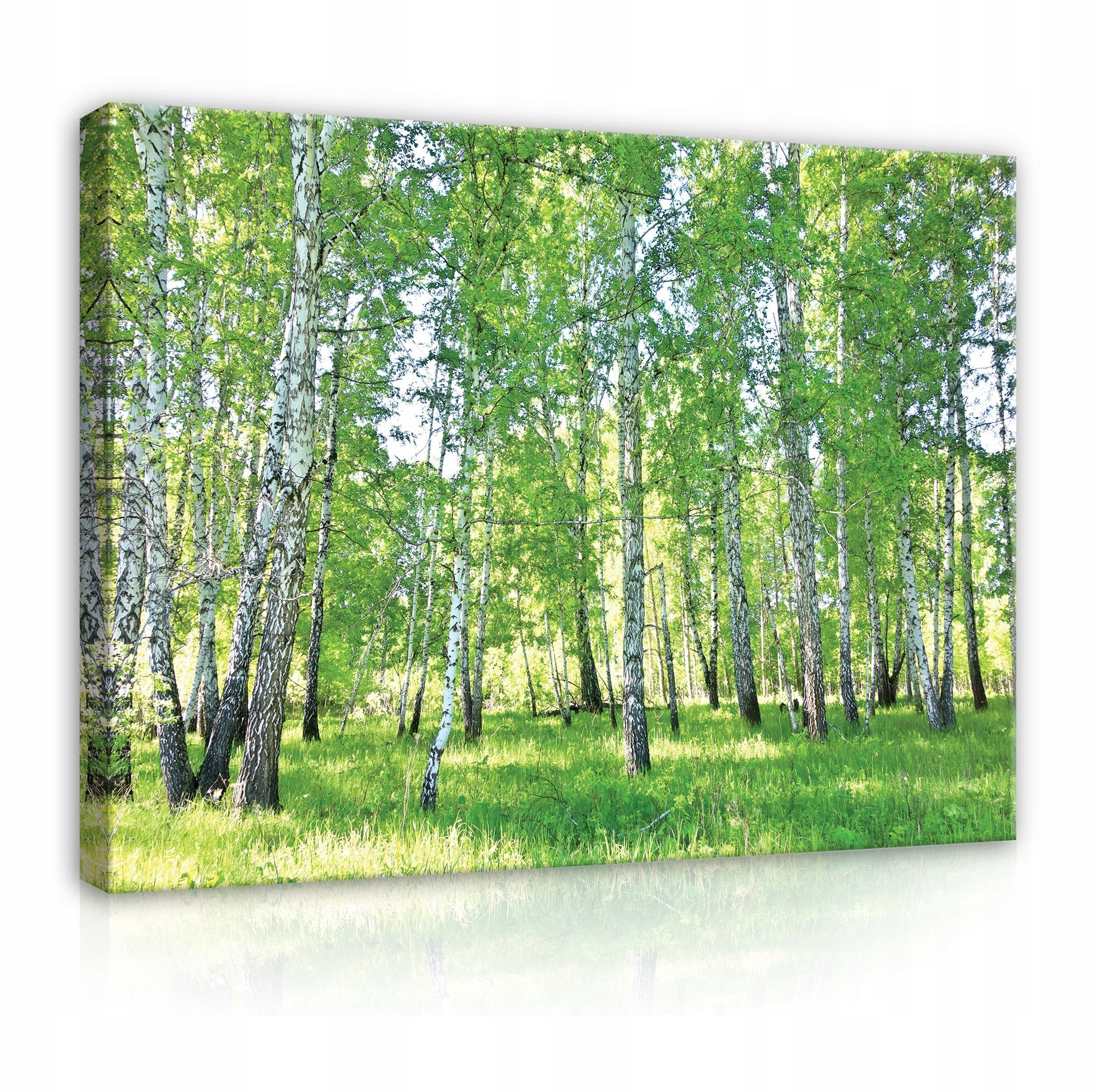 Wallarena Leinwandbild grün Wald Birkenwald Natur Wand Deko Groß XXL Modern Wandbilder, Wald ...
