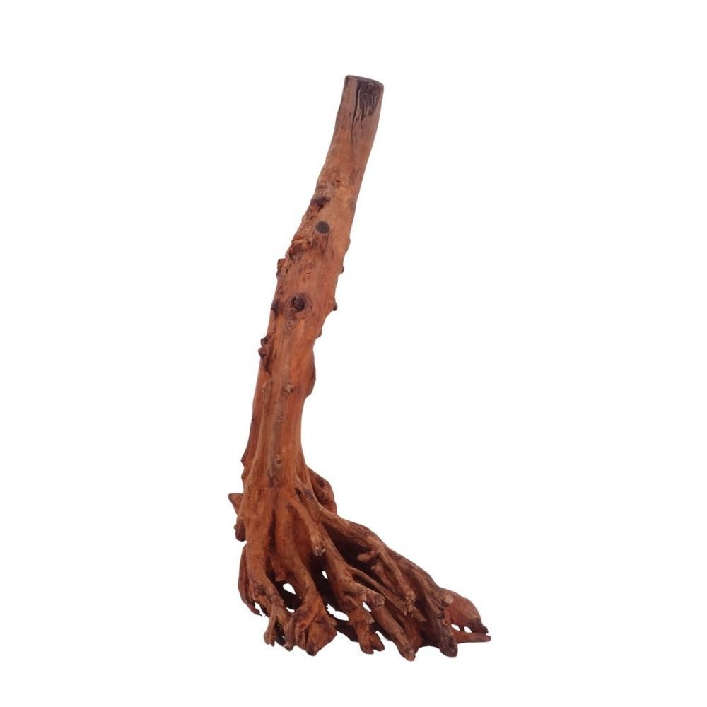 Aquaone Aquarium M Jungle Wood Wurzel Nr.4443 Holz Deko Aquascaping