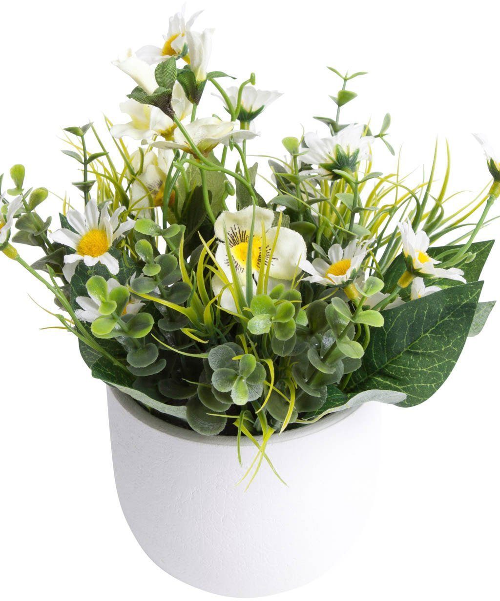 Kunstblume Hornveilchen Margeritenarrangement Botanic Haus Höhe 19 Cm