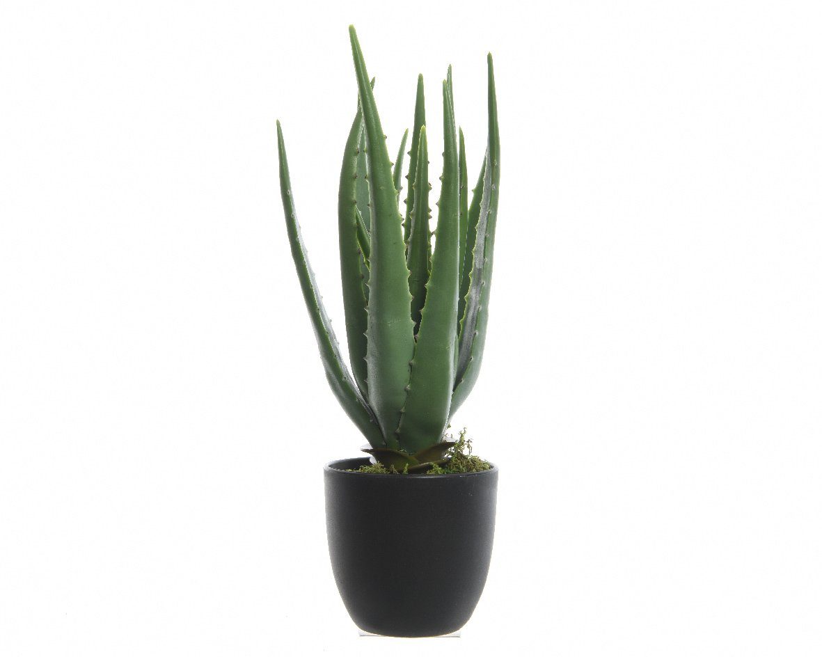 Kunstpflanze Decoris Season Decorations Kunstpflanze Aloe Vera Im