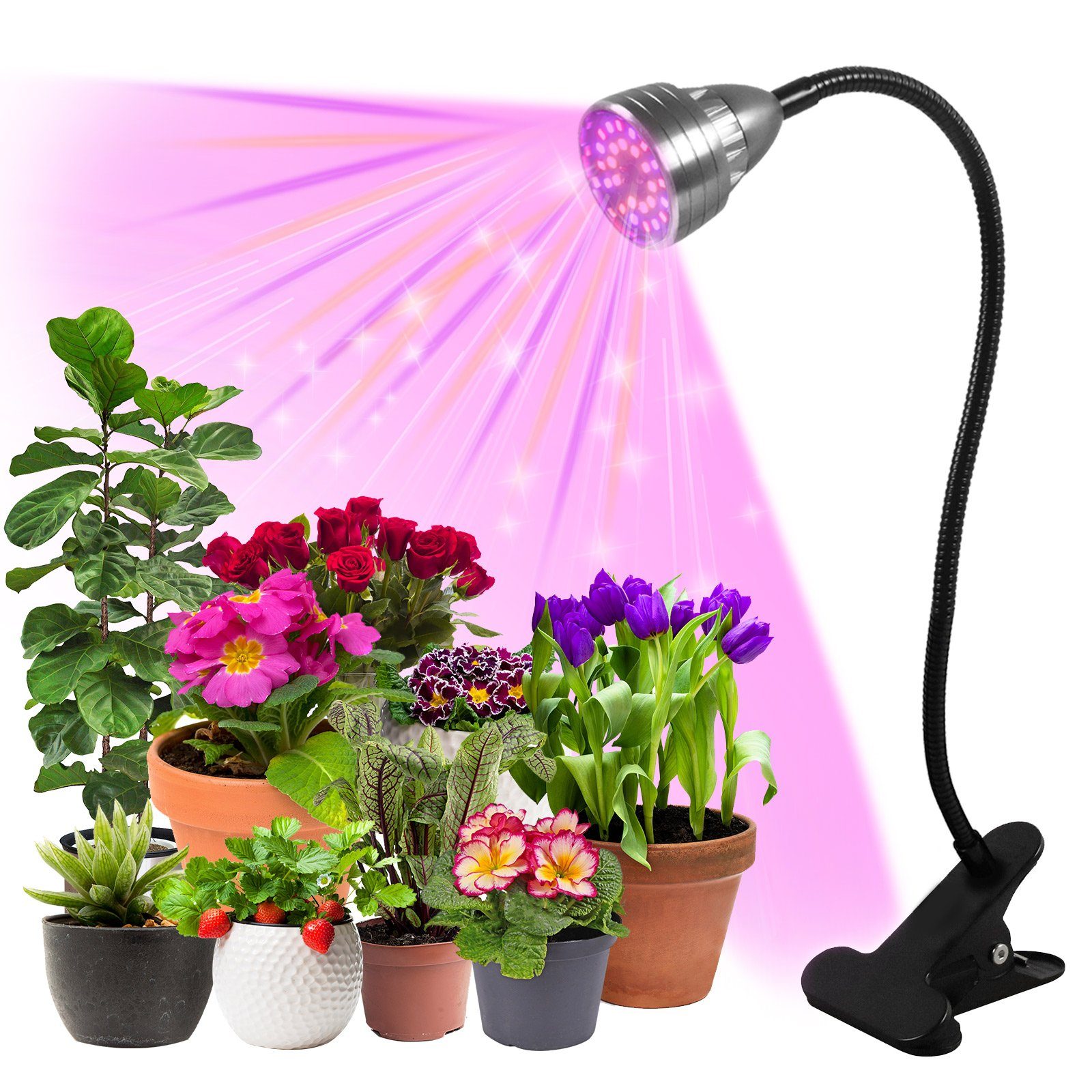 Rosnek Pflanzenlampe 1 4 Köpfe Clip On 3 Modi Timer Usb Für
