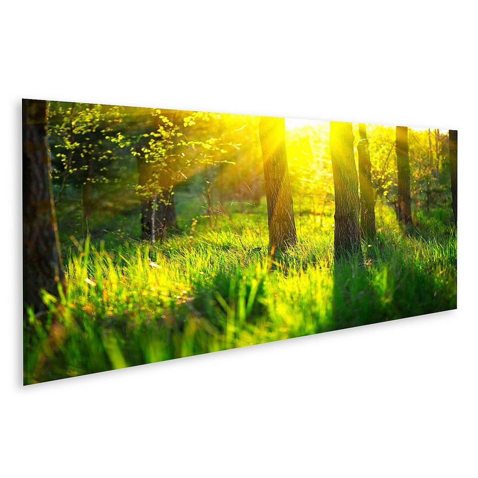 Islandburner Leinwandbild Bild Auf Leinwand Frühling Naturszene Schöne