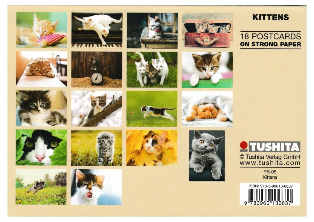 Postkarte Postkartenbuch "Kittens * Kätzchen * chatons" mit 18 süßen ...