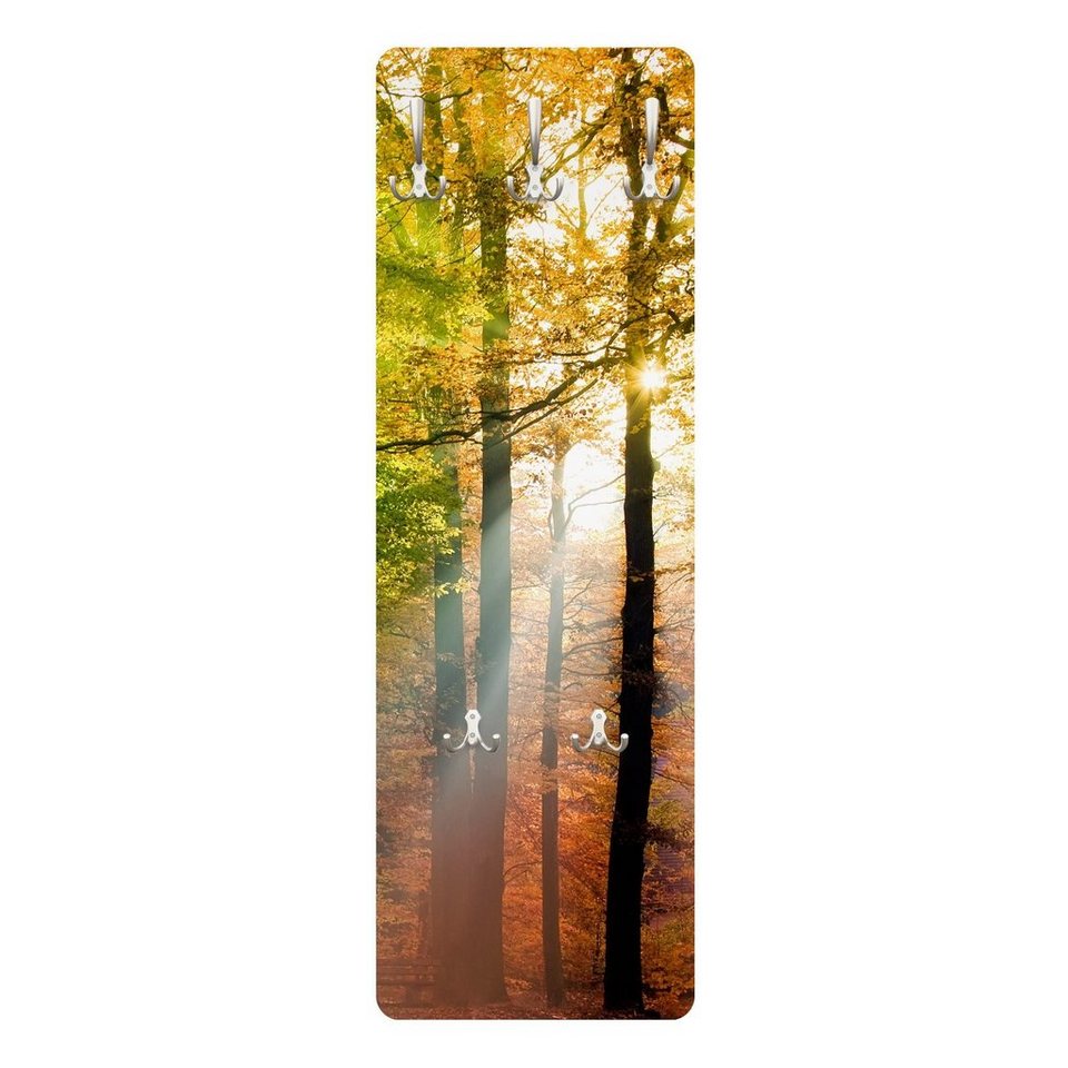 Bilderdepot24 Garderobenpaneel Orange Bäume Wald Natur Morning Light