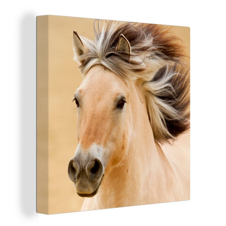 Onemillioncanvasses® Leinwandbild Pferde Tiere Mähne Porträt