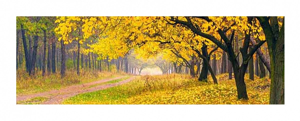 TPFLiving Kunstdruck (OHNE RAHMEN) Poster - Leinwand - Wandbild, Landschaft - Wälder - Bäume ...