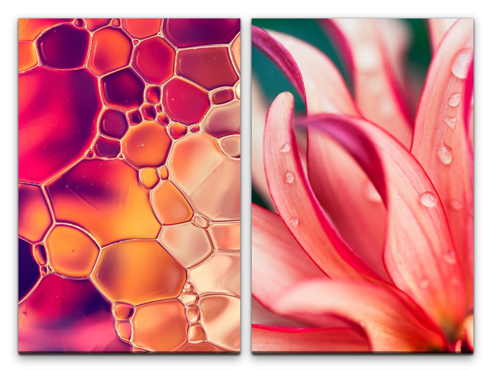 Sinus Art Leinwandbild 2 Bilder Je 60x90cm Blumen Wasserblasen