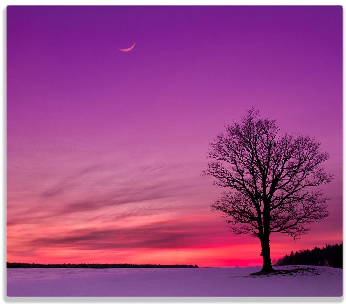 Wallario Herd Abdeckplatte Mond Und Baum Am Abend Bei Schnee Esg