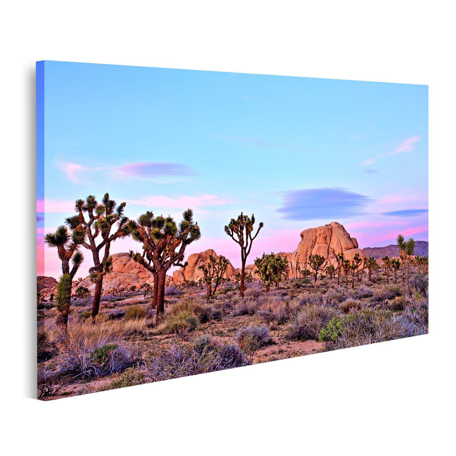 islandburner Leinwandbild Bild auf Leinwand Joshua Tree National Park Sonnenuntergang Usa Wandbi