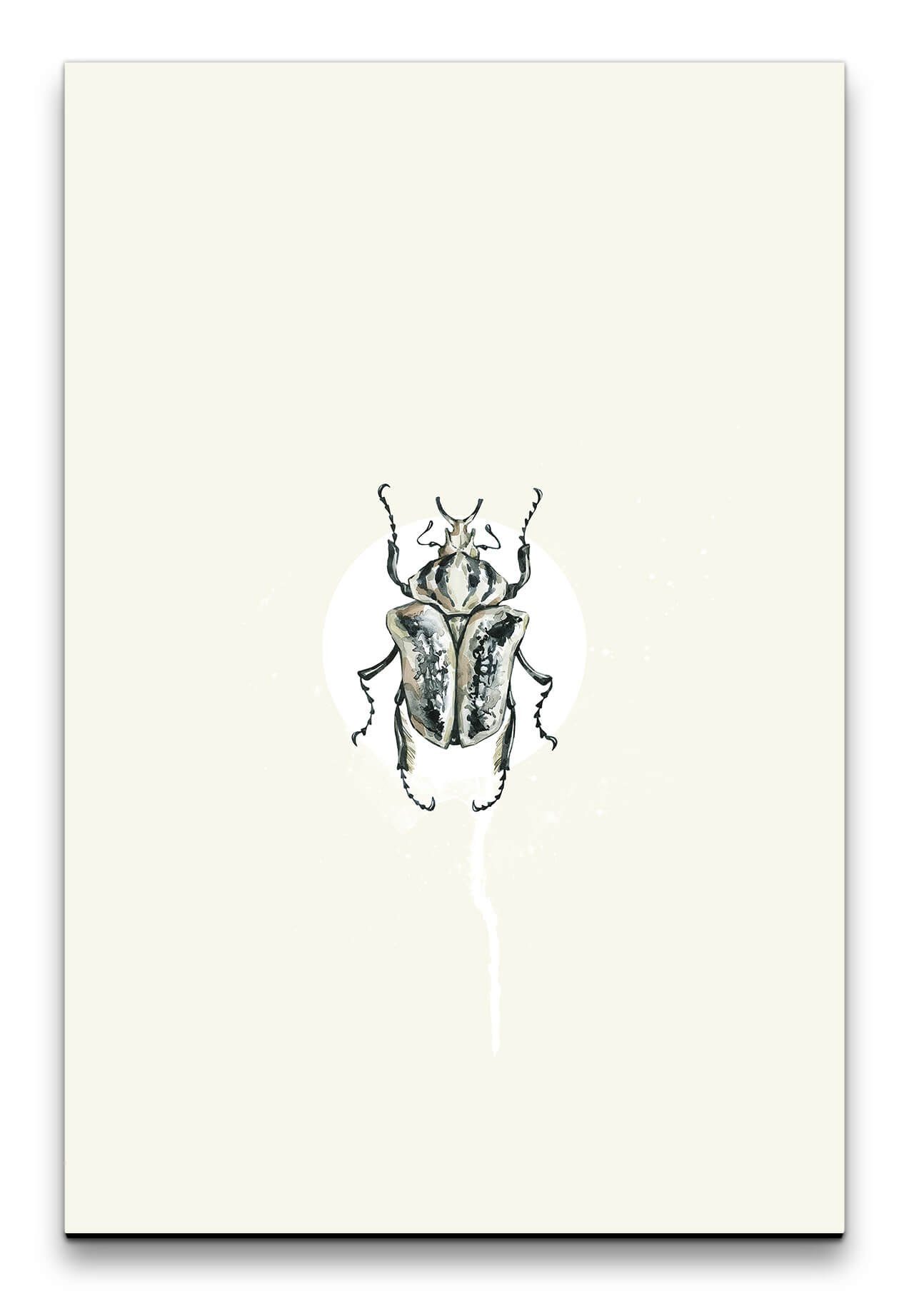 Sinus Art Leinwandbild Käfer Insekt Weißer Kreis Modern Aquarell