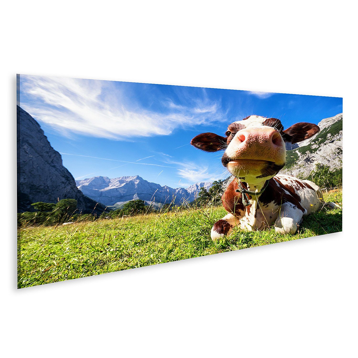 islandburner Leinwandbild »Bild auf Leinwand Kühe Auf Das Karwendelgebirge In Österreich ...