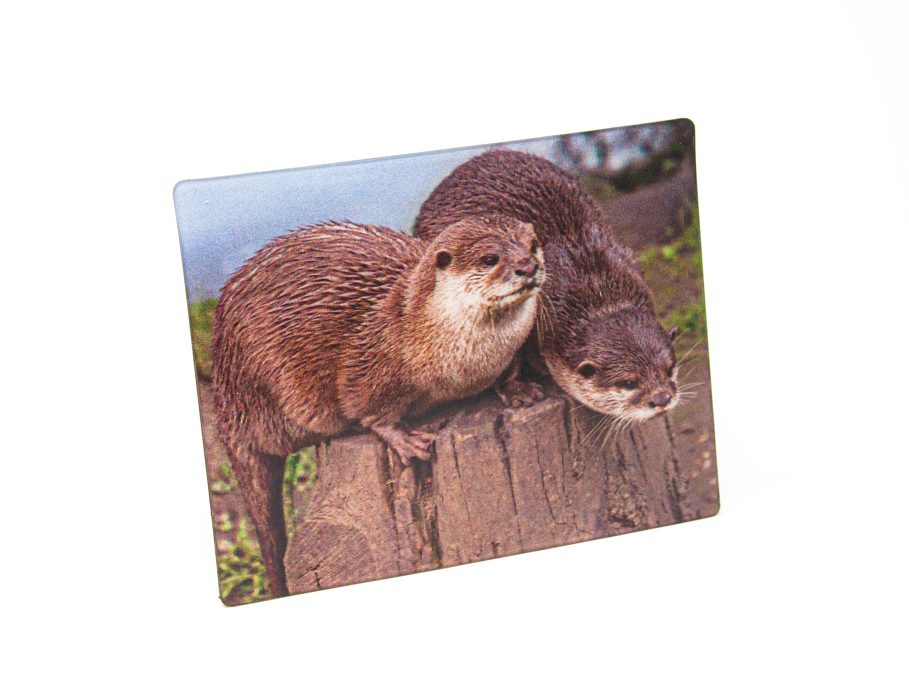 Cornelißen Magnet 3D Magnet Otter