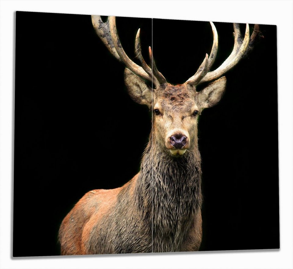 Wallario Herd Abdeckplatte Stattlicher Rothirsch Esg Sicherheitsglas