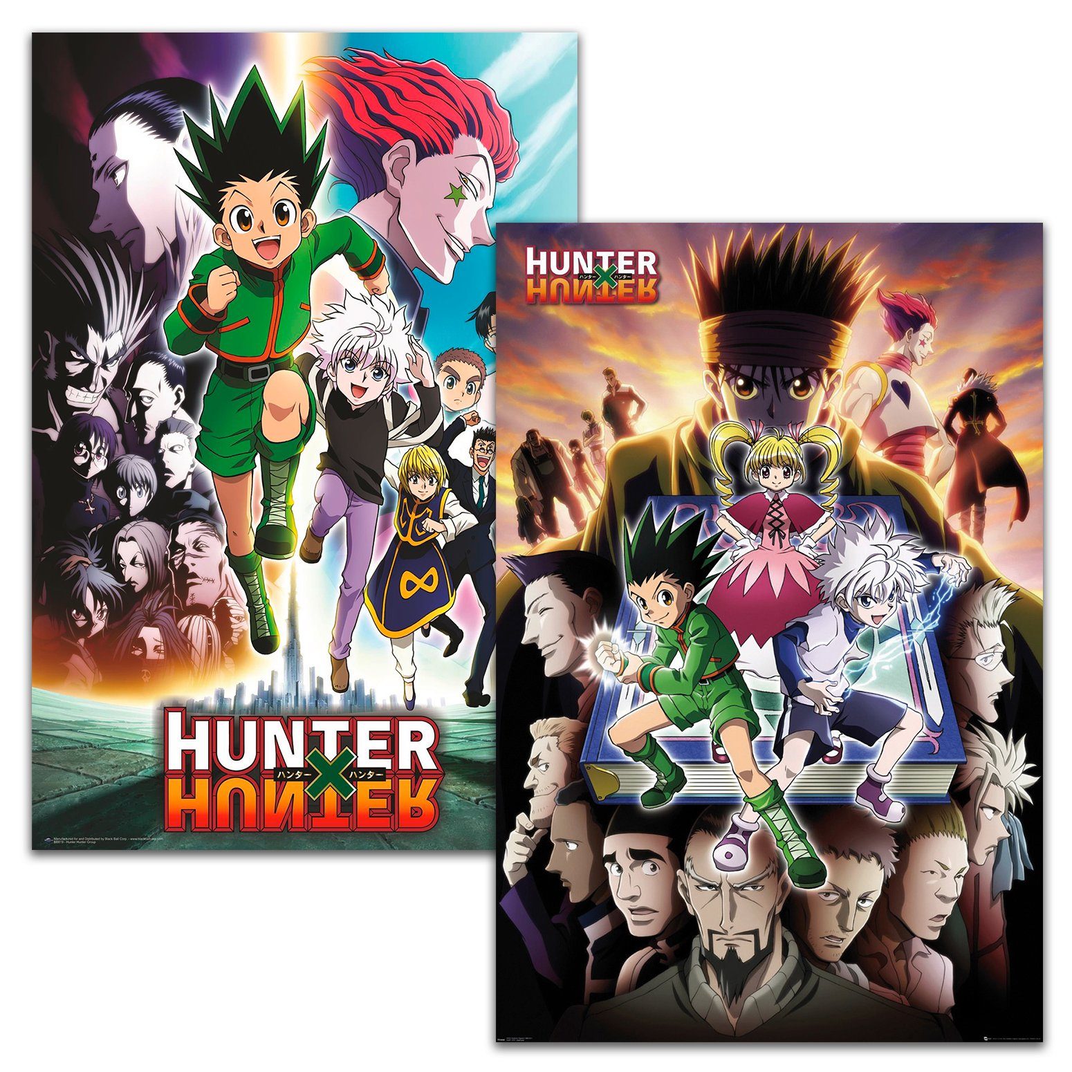 Hunter x Hunter Poster online kaufen | OTTO