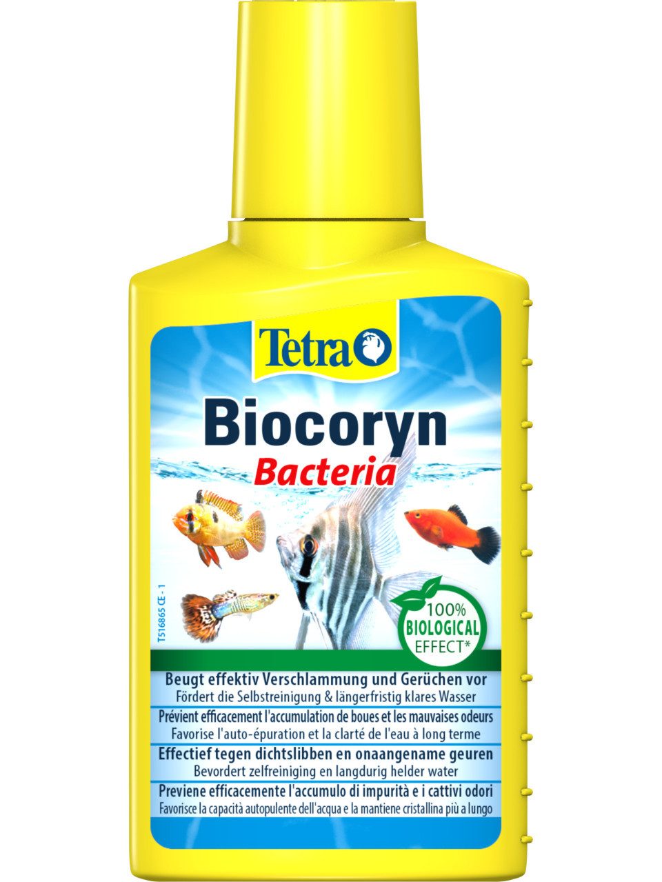 Tetra Aquariumfilter Tetra Aquariumpflege Biocoryn Bacteria 100 ml