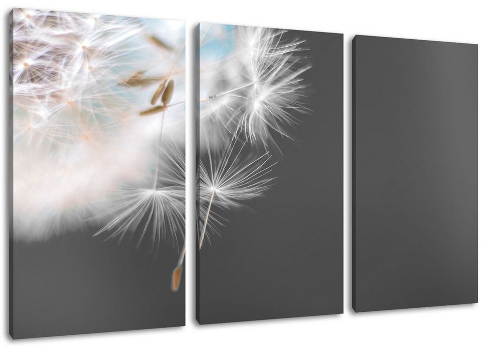 Pixxprint Leinwandbild Hübsche Pusteblume Hübsche Pusteblume 3teiler