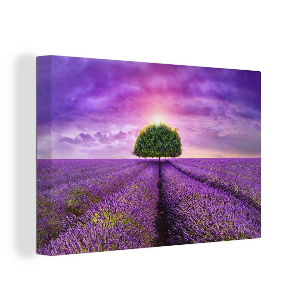 Onemillioncanvasses® Leinwandbild Lavendel Baum Lila Wolken 1