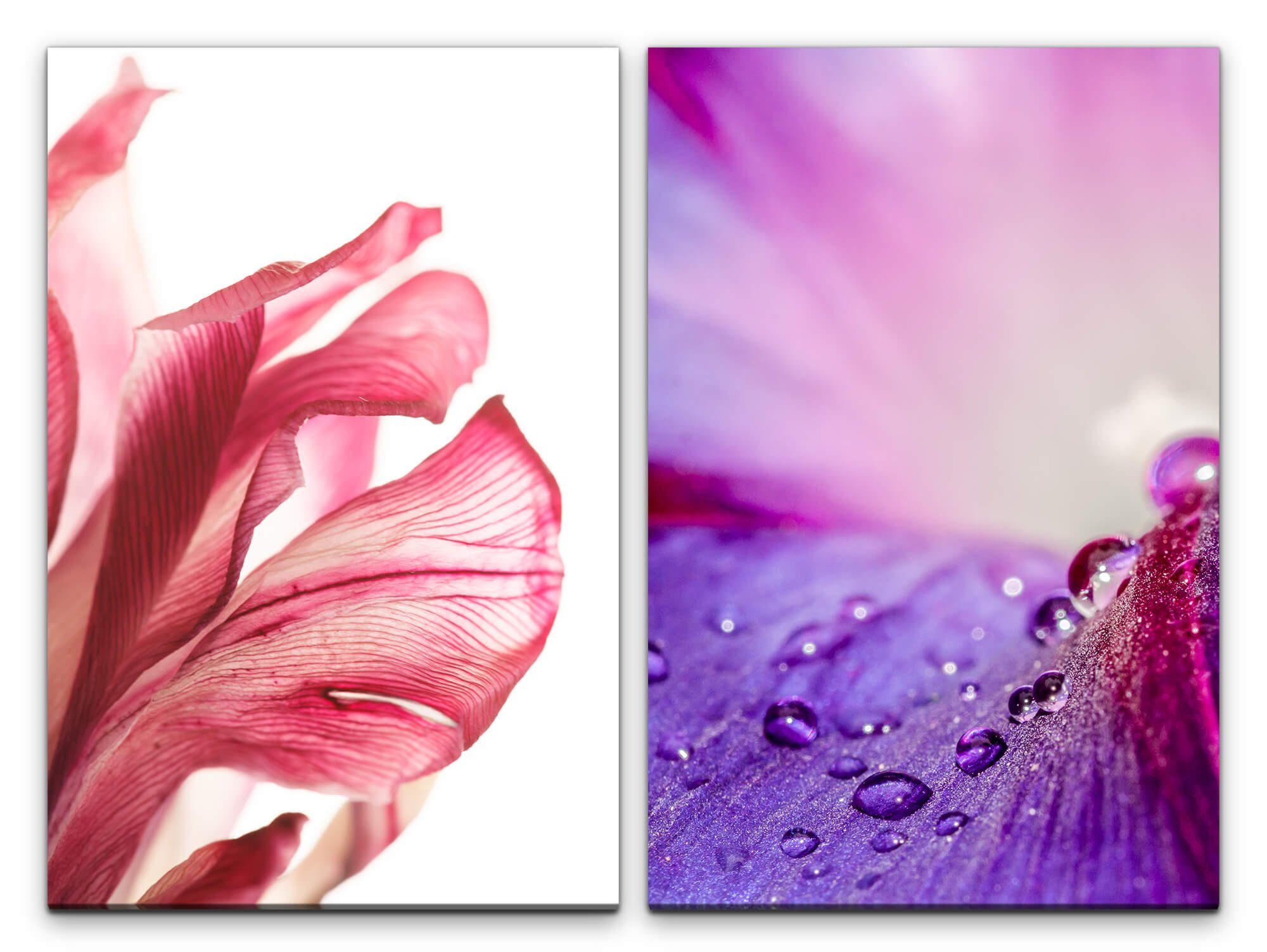 Sinus Art Leinwandbild 2 Bilder Je 60x90cm Orchidee Rote Blüte