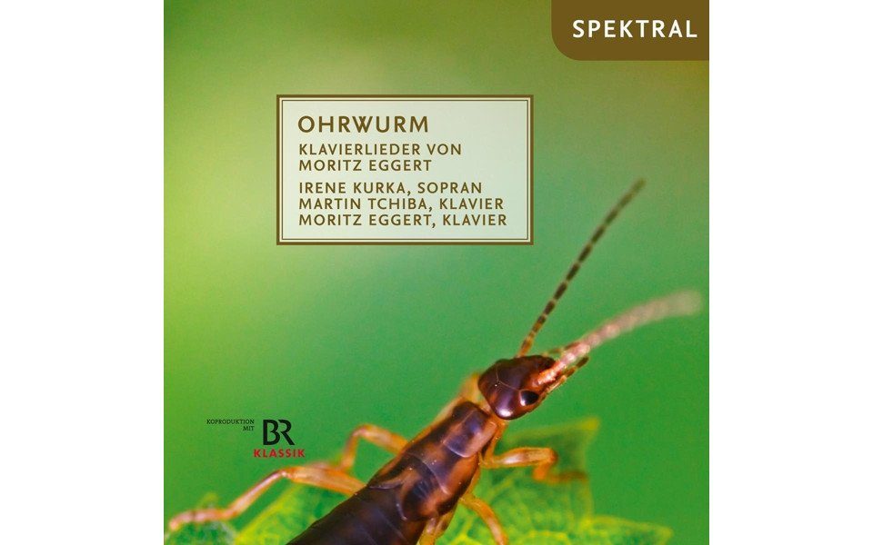 Music & Sounds CD-Rohling Ohrwurm-Klavierlieder