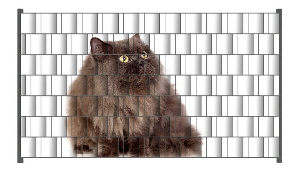 Wallario Sichtschutzstreifen Perserkatze Vor Weißem Hintergrund Für