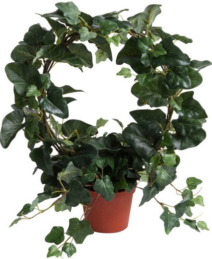 Künstliche Zimmerpflanze »Efeubogen im Topf« Efeu, Botanic-Haus, Höhe ...