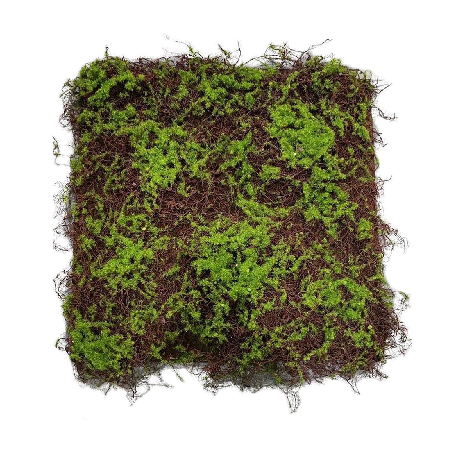 Kunstblume Moosmatte 50 X 50 Cm Kunstpflanze Flora Moos Hti Living