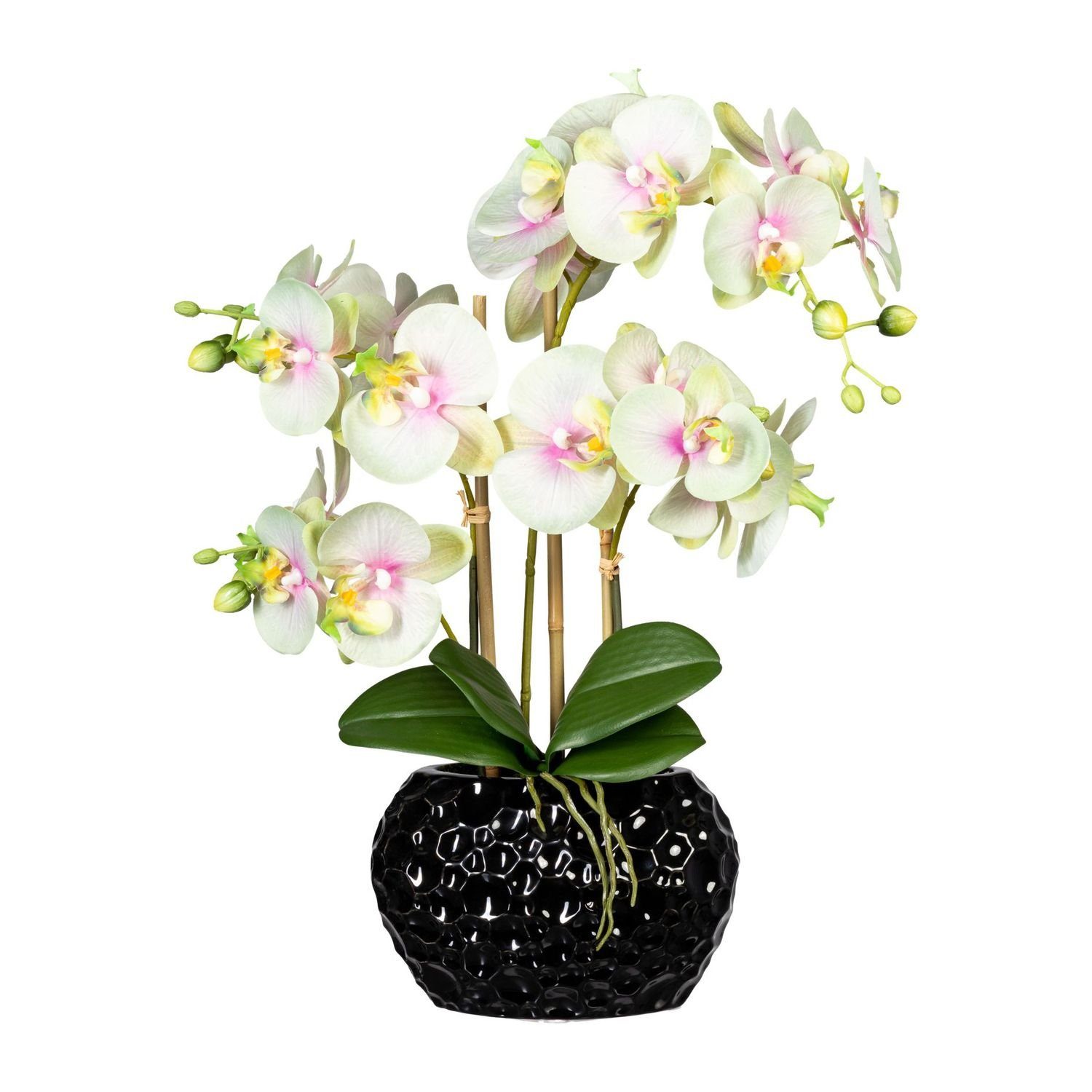 Kunstpflanze Künstliche Orchidee 55cm In Schwarzer Keramikvase In