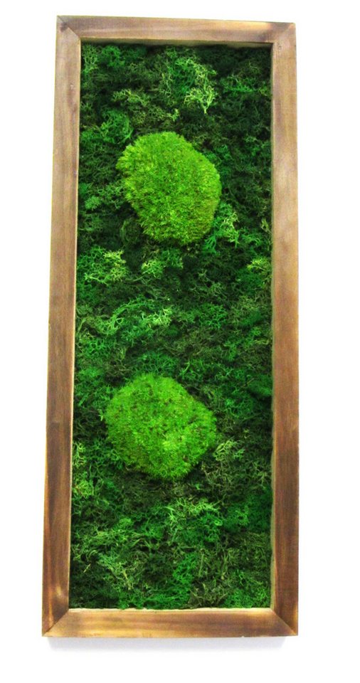 Meinvipshop Wandbild Moosbild Mango Holz Mit Konserviertes Moos