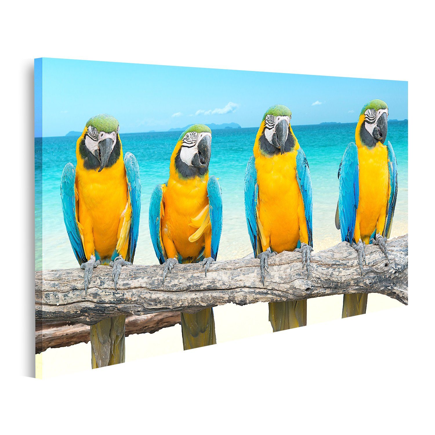 Islandburner Leinwandbild Bild Auf Leinwand Blau Und Gold Ara Auf