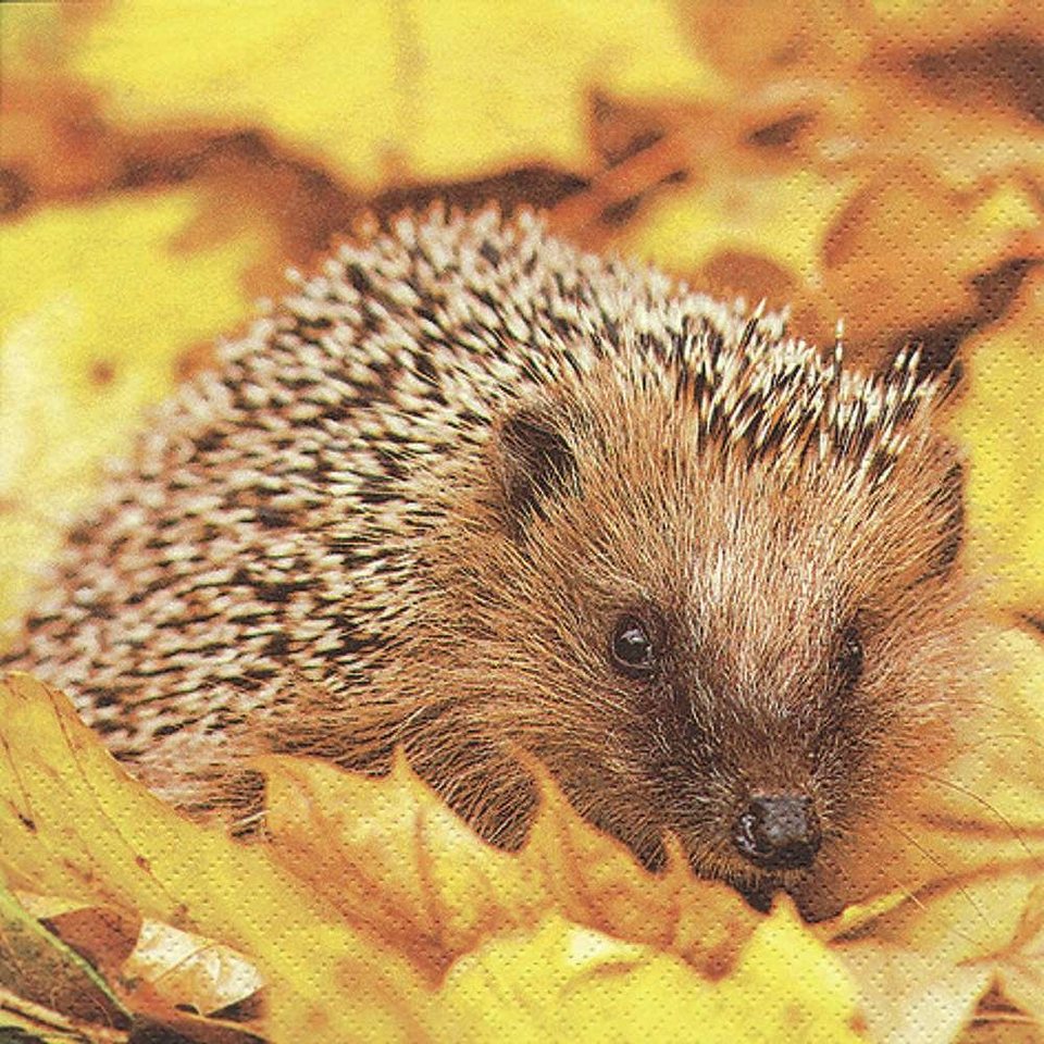 Linoows Papierserviette 20 Servietten Igel In Ahornblättern