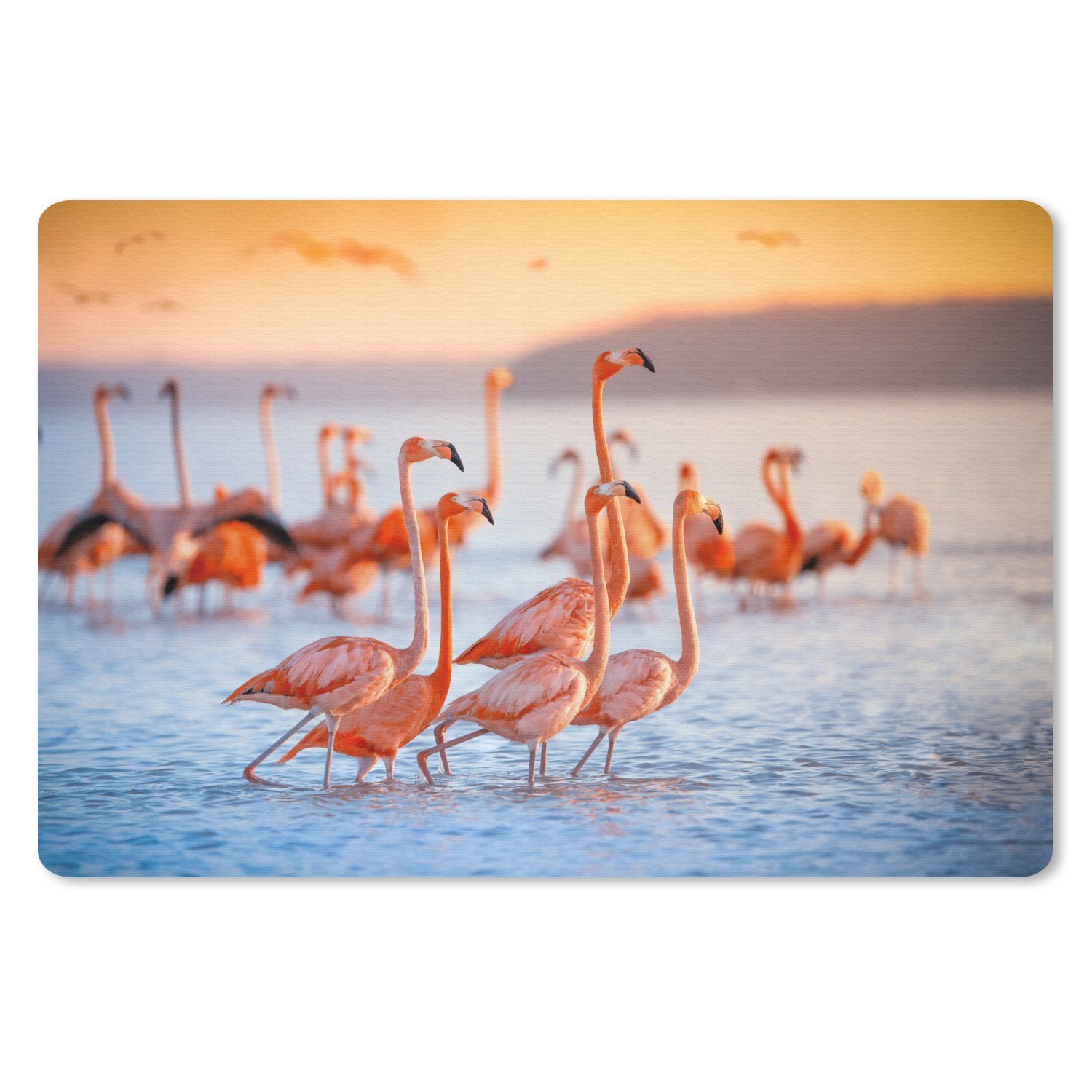 Muchowow Mauspad Flamingo Tiere Wasser Rosa 1 St Gaming