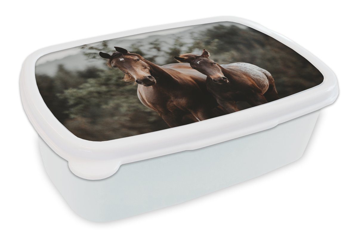 Muchowow Lunchbox Pferde Wald Berge Kunststoff 2 Tlg Brotbox