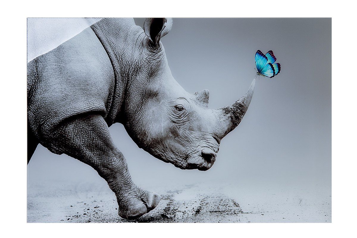 Gilde Bild Gilde Acryl Bild Nashorn Grau H 80cm X B 120cm