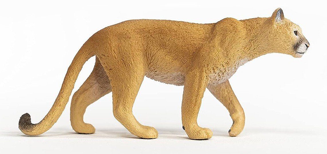 Sarcia.eu Spielfigur Schleich Wild Life - Puma, Figur für Kinder ab 3+