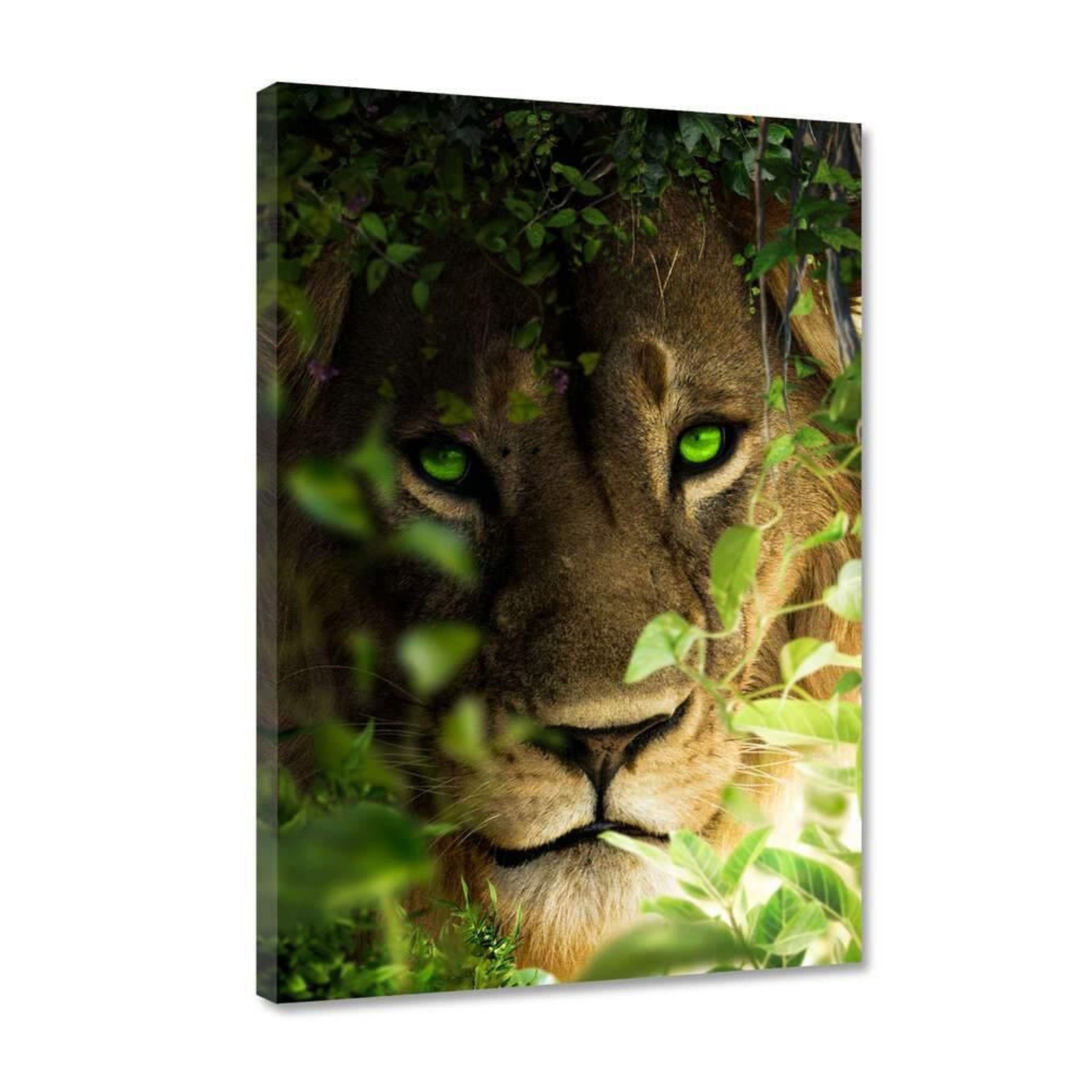 Hustling Sharks Leinwandbild Löwen Bild Als Xxl Leinwandbild Lion